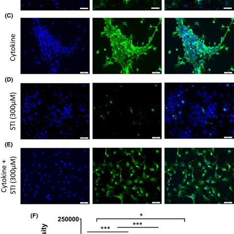 Workflow Describing Steps Involved In The Lectin Microarray Mgcs Were Download Scientific