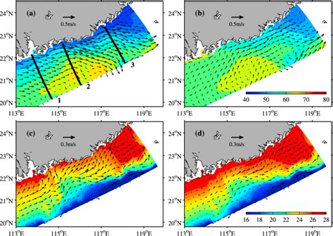 Composite Fields Of The Modeled A Surface Velocity Vectors Ms And Download Scientific