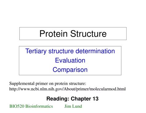 Ppt Protein Structure Powerpoint Presentation Free Download Id9398155