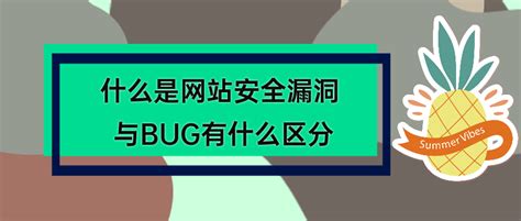 什么是网站安全漏洞 与BUG有什么区分 SINE安全 什么是网站安全漏洞 与BUG有什么区分 SINE安全
