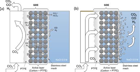 Different Gas Flow Regimes Investigated A Flow By FB And B Download Scientific Diagram
