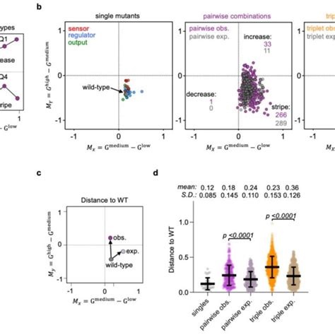 Pattern Phenotypes A Projection Of Pattern Phenotypes To Download Scientific Diagram