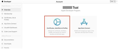 Ios 164後 Safari 開發者無法看到webview Console 彼得潘的 Swift Ios Flutter App