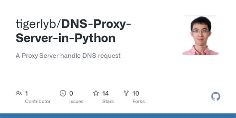 GitHub Tigerlyb DNS Proxy Server In Python A Proxy Server Handle DNS Request
