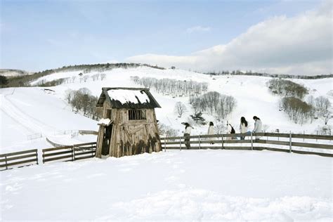 겨울에 가볼만한 경기도 여행지 경기도 겨울 여행지 추천