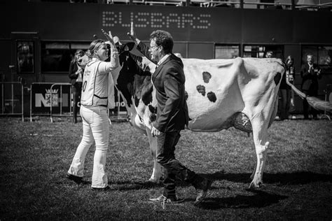 great classification for delta lambda sisters from the adeen s