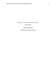 Module 3 Assignment 2 Docx Running Head DEVELOPMENTAL STAGE