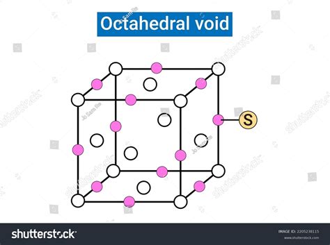 Octahedral Voids Unoccupied Empty Spaces Present Stock Vector Royalty Free