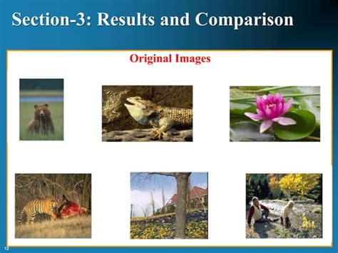 A Study And Comparison Of Different Image Segmentation Algorithms Ppt