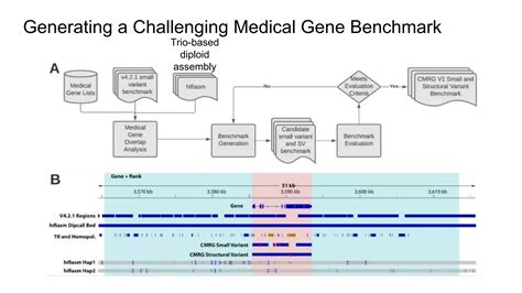 Genome In A Bottle Reference Materials To Benchmark Challenging