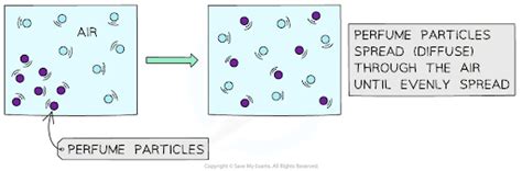 Diffusion Gcse Biology Definition