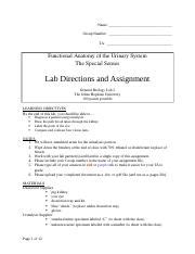 Functional Anatomy Of The Urinary System Lab Directions Course Hero
