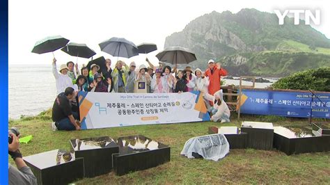 제주 올레길에 스페인 산티아고 순례길 표지석 설치 Ytn Youtube