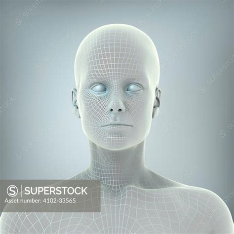 Wire Frame Model Layered Over A Face To Represent A Digital Human Being Superstock