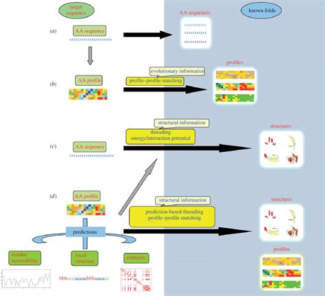 Different Strategies For Protein Fold Recognition The Fold Space Is