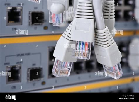 Network Patch Cord Cable RJ45 Connectors Stock Photo Alamy