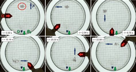 Figure 1 From Permanent Magnet System To Guide Superparamagnetic