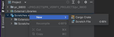 `cargo Crate` Shouldnt Be In The Context Menu Of `scratches` · Issue 9819 · Intellij Rust