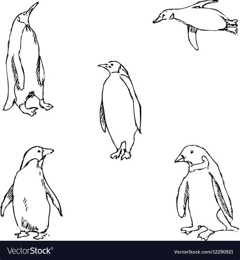 Penguin Pencil Sketch