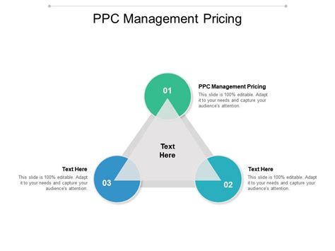 PPC Management Pricing Ppt Powerpoint Presentation Visual Aids Pictures