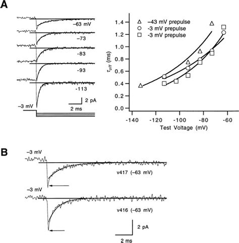 V2s Off Gating Currents Yield Other Information About Intermediate Download Scientific Diagram