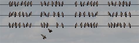 A Guide To Strategic Alignment And Execution