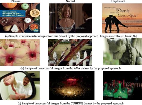 Examples Of Misclassification The Proposed Method Misclassifies The