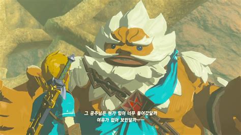 [rn]닌텐도 스위치 젤다의 전설 야생의 숨결 영걸 다르케르 [떠올린 기억 4] Youtube