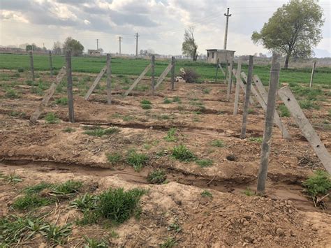 گالری سازه بتن تولید خرید فروش پایه بتنی،پایه فنس بتنی فلزی باغ