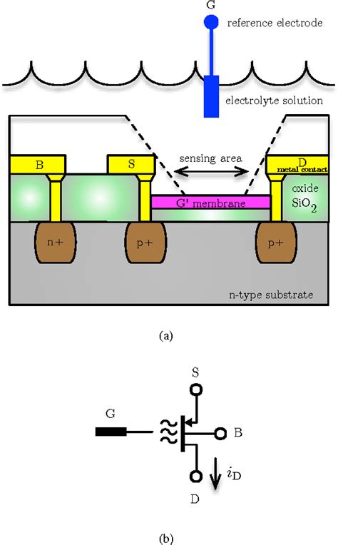Figure 1 From A Modified Voltage Clamped Isfet Readout Circuit For Low Voltage Applications