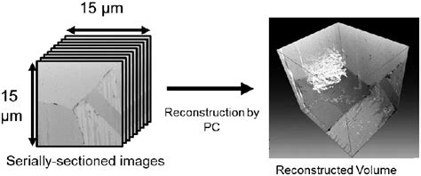 A Schematic Diagram Of Fib Sem Slice Sectioning Method Download Scientific Diagram
