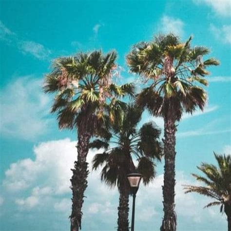 Stream Dezine Larim Yu Kam [audio] 2019 Mp3 By Vitz Jam Listen Online For Free On Soundcloud