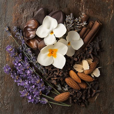 Fcking Fabulous Fragrance Oil 658 Crafters Choice