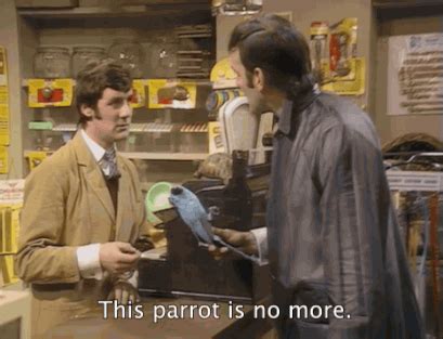 Monty Python Parrot Sketch Tumblr