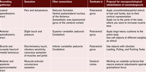 Functions And Sensations Of The Ascending Pathways Of The Spinal Cord Download Scientific