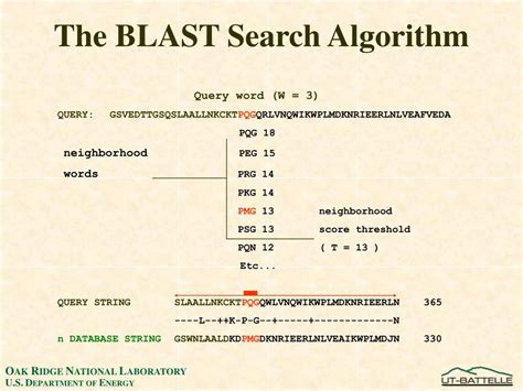 PPT Cluster Computing Applications Project Parallelizing BLAST