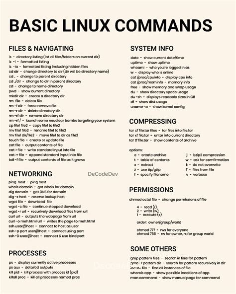 Dedev Essential Linux Commands For Beginners 💻 Save It Or Lose It 🤷🏼‍♂️ Dedev
