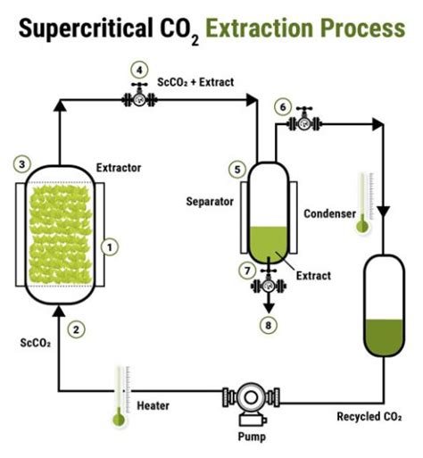 Closed Loop Co2 Extraction How To Achieve Optimal Purity