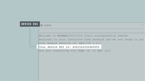 Connecting Mkr Wan 1310 To The Things Network Ttn Arduino Documentation