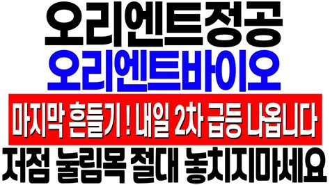오리엔트정공 오리엔트바이오 주가 전망 마지막 흔들기 오늘 저점 눌림목 놓치지 마세요 내일 다시 급등 시작 오리엔트바이오