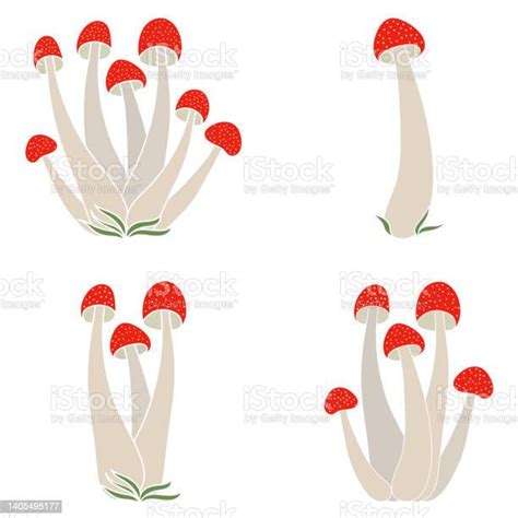 유독 한 버섯 벡터 흰색 배경에 고립 된 간단한 일러스트 레이 션 세트 컬러 손으로 그린 버전 벡터 균학 자연 건강한 곰팡이 가을 디자인 농업 박람회에 대한 스톡 벡터 아트