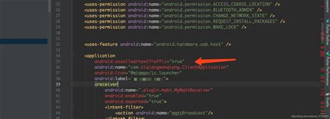 Flutter Dio请求dioerror Dioerrortypedefault Socketexception Insecure