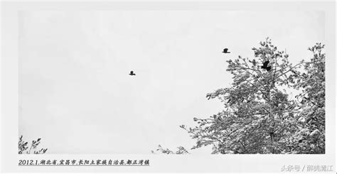 2012年長陽都鎮灣雪景實拍 每日頭條