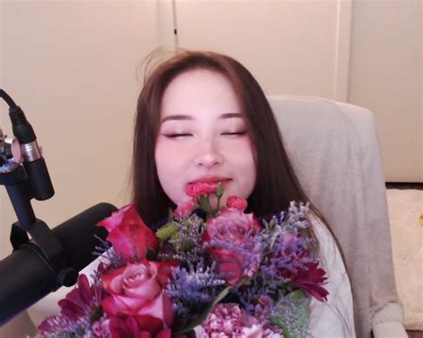 Tinakitten Tina Streamers Pretty