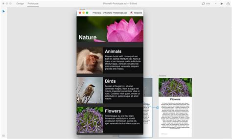 The Ultimate Guide To Adobe XD Tutorials From Beginner To Expert