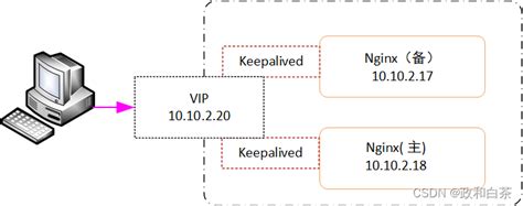 Keepalive Nginx 热备keepalive查节点状态 Csdn博客