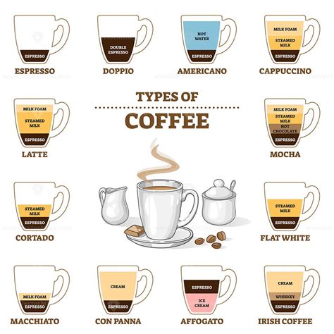 Types Of Coffee And Cafe Preparation Guide Outline Diagram Educational