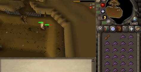 Osrs Botting Guide How To Avoid Bans Botting Hub