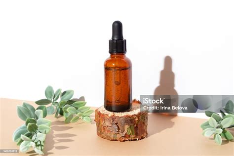 나무 스탠드에 점적기가있는 어두운 유리로 만든 화장품 병은 밝은 갈색과 흰색 배경에 나뭇잎이있는 녹색 가지 단단한 그림자가 있습니다 천연 유기농 화장품 바디 및 얼굴 관리