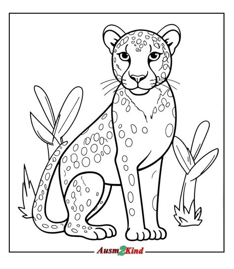 Gepard Malvorlage